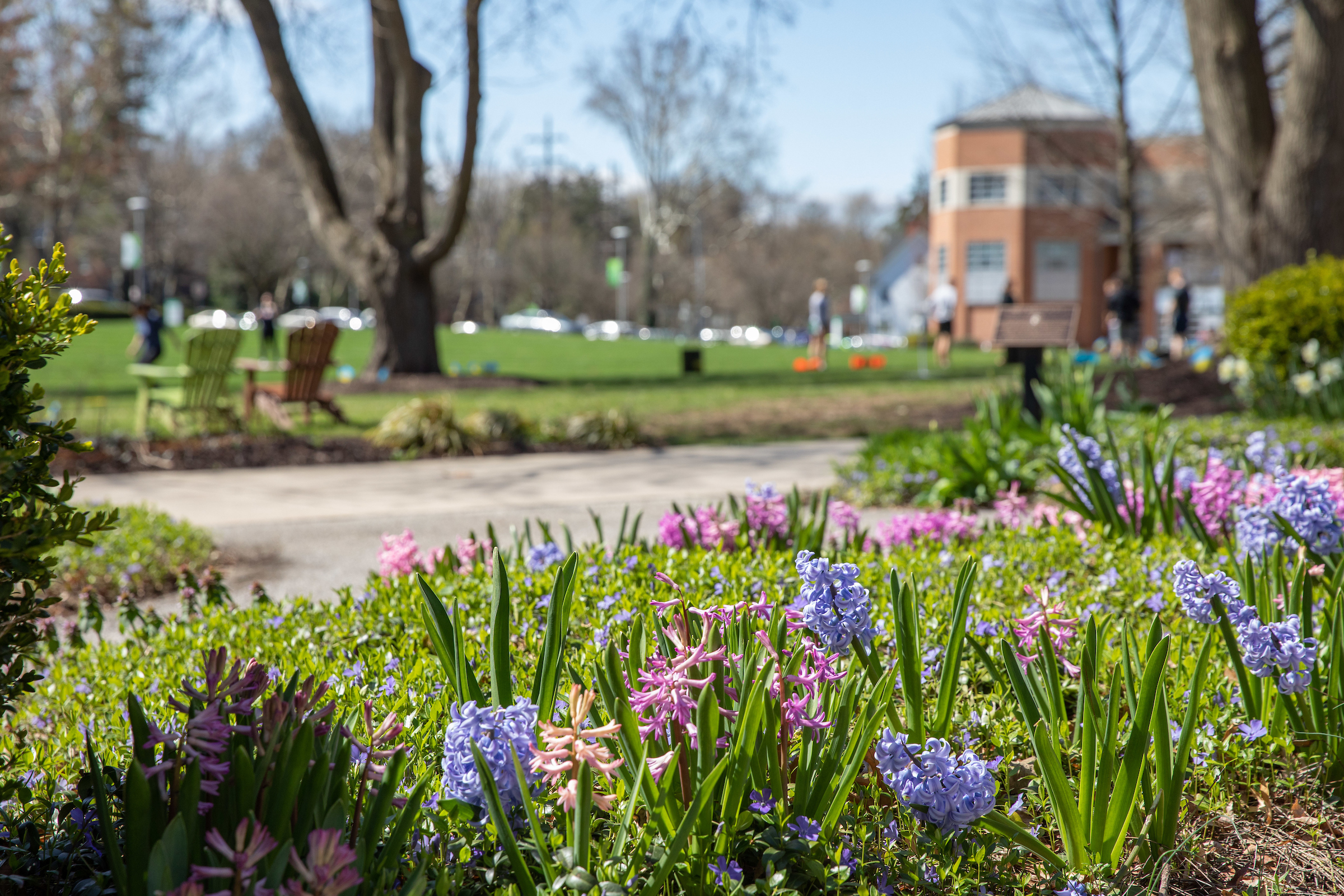 Institutional and Enrollment Marketing | York College of Pennsylvania